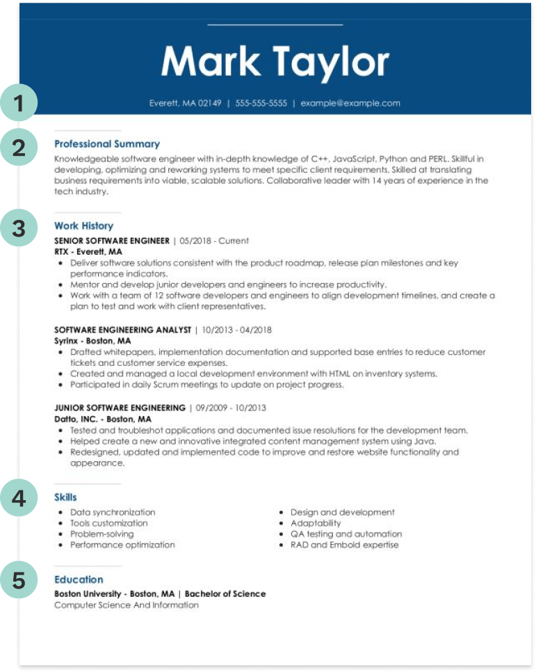 Resume Examples: 100+ Samples & Guides for 2024 Jobs