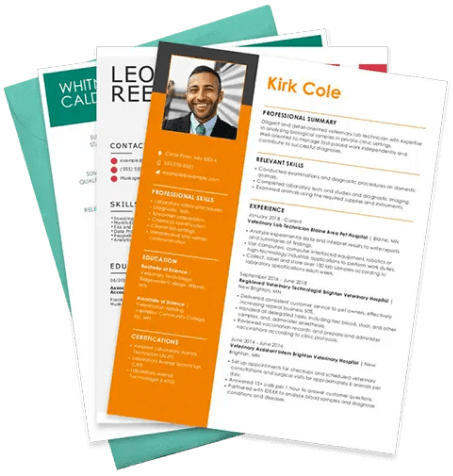 Best Resume Format To Use in 2024 [+ Examples & Templates]