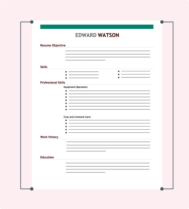 Best Resume Format To Use in 2024 [+ Examples & Templates]