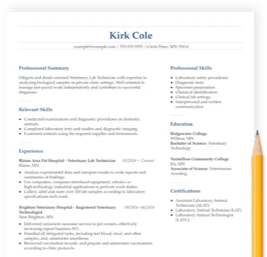 Professional Resume Formats to Get Hired in 2022 | Resume-Now